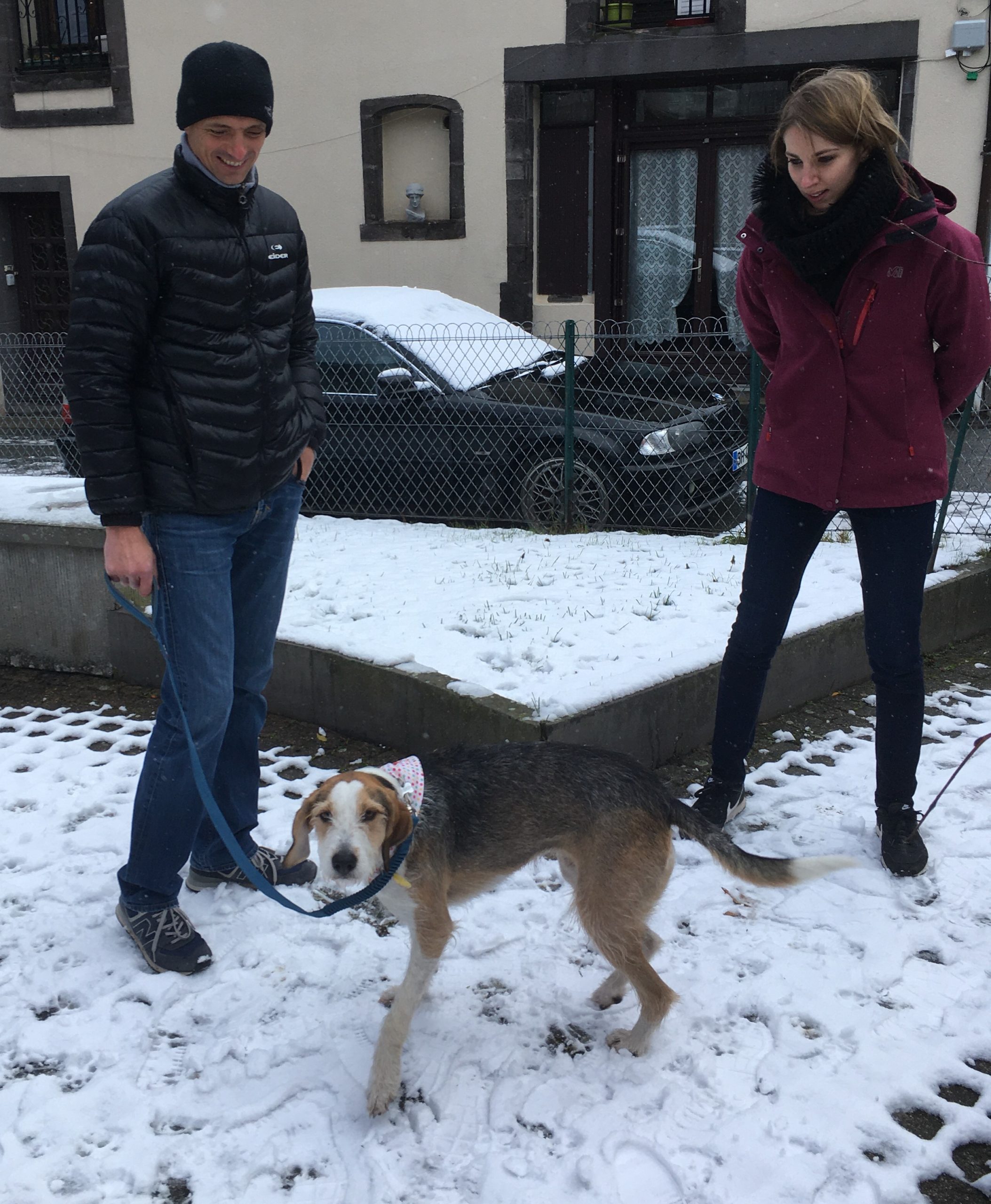 Cynophobie - CréA - Médiation animale en Auvergne